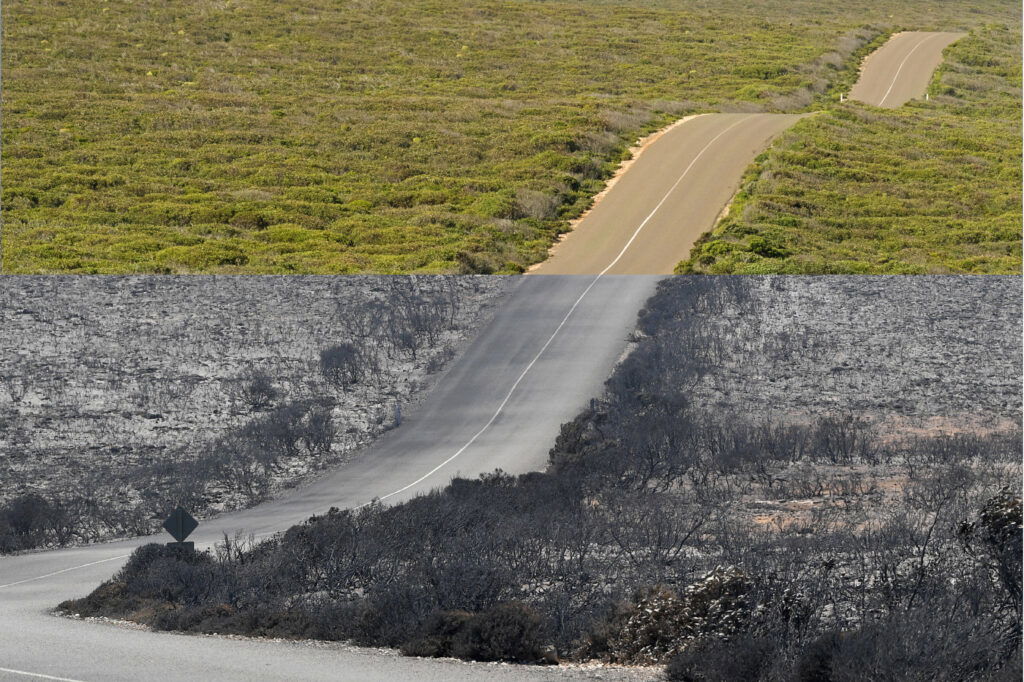 Capturing the Impact: Images of Climate Change and Human Activities ...