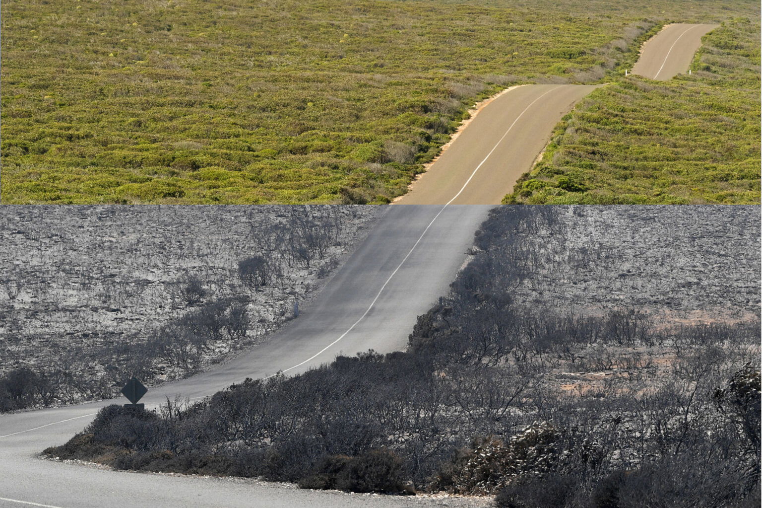 Capturing the Impact: Images of Climate Change and Human Activities ...