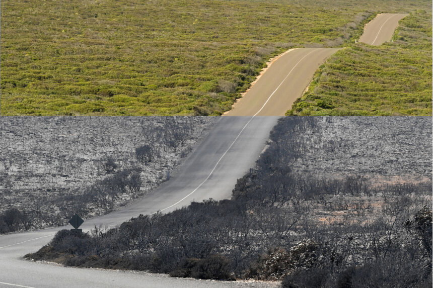 Capturing the Impact: Images of Climate Change and Human Activities ...