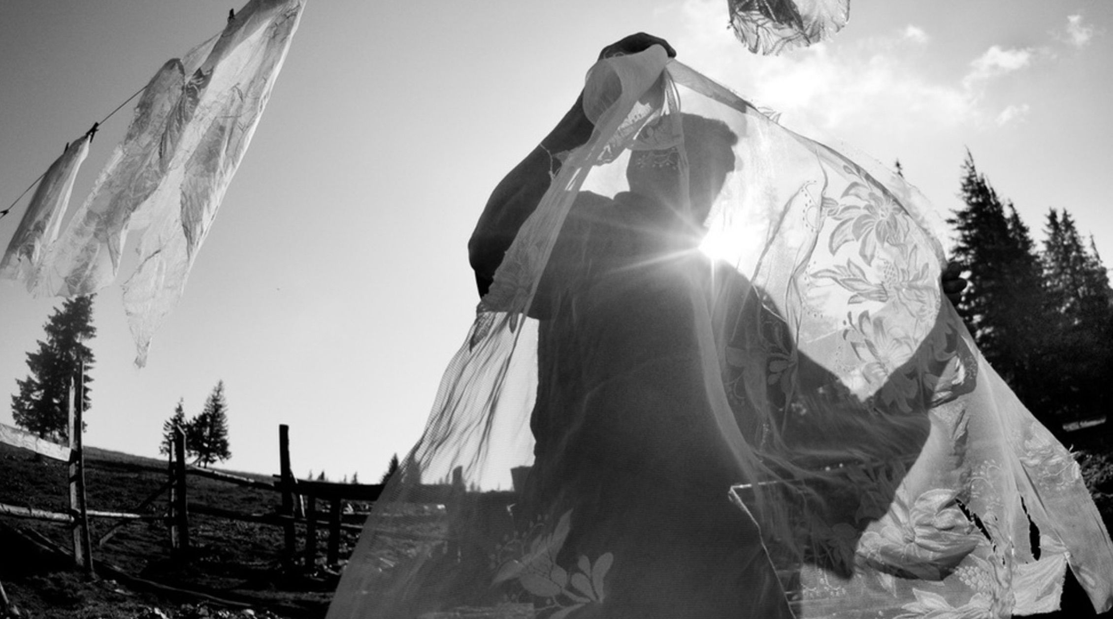 Why the Ukrainian Association of Professional Photographers is a ...