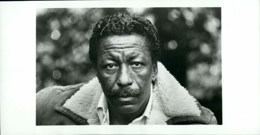 Black History Month Photographers: Documenting a Movement - The Game ...