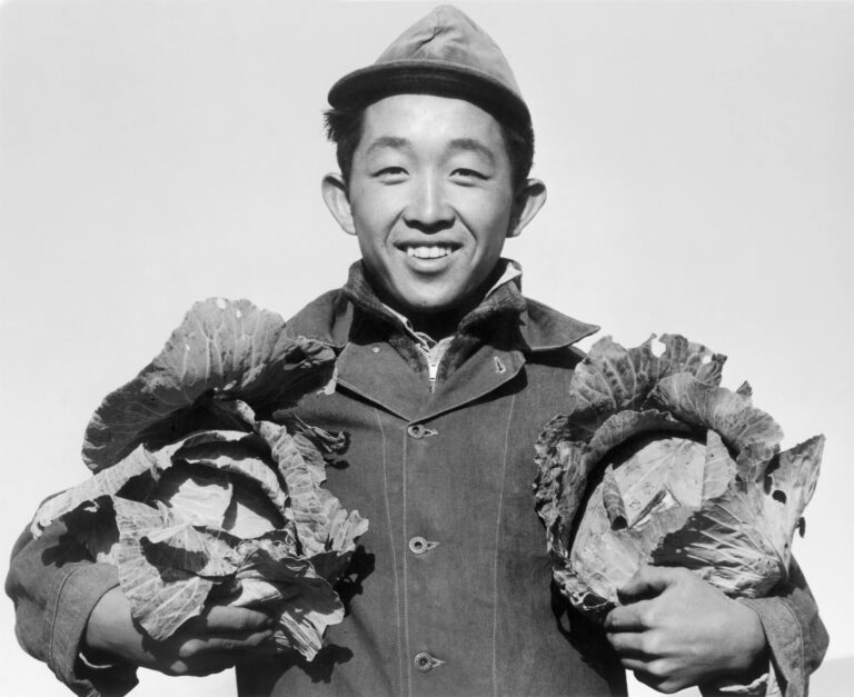 Iconic Photographers: Ansel Adams' Style and Impact - The Game Magazine