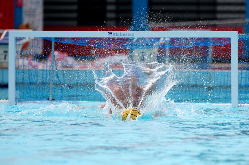 Sports and Storytelling: An Interview with Domenic Aquilina - The Game ...