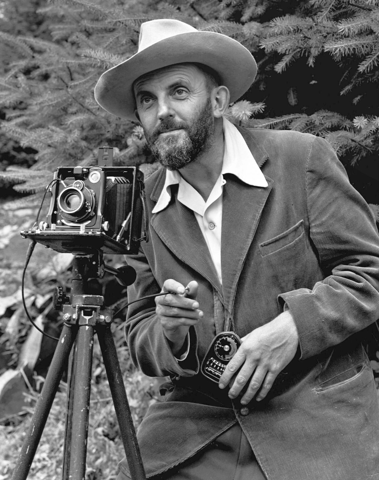 Iconic Photographers: Ansel Adams' Style and Impact - The Game Magazine
